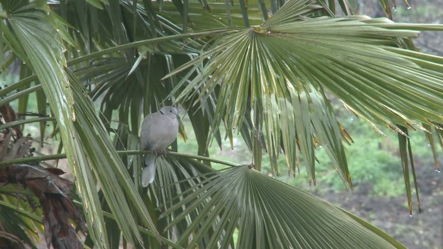 Fuggire Images – Browse 613 Stock Photos, Vectors, and Video | Adobe Stock