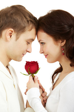 Beloved Images – Browse 596,861 Stock Photos, Vectors, and Video ...