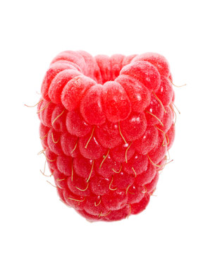 Single Raspberry