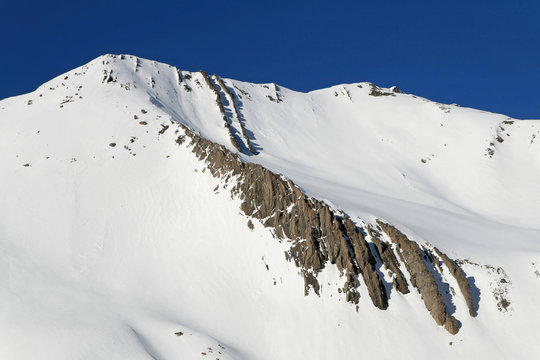 Voleter 이미지 – 찾아보기 169 스톡 사진, 벡터 및 비디오 | Adobe Stock