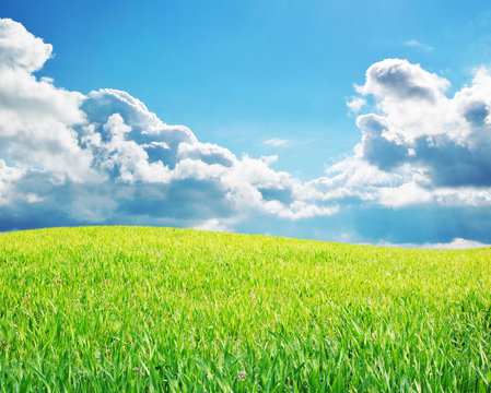 Grean bilder – Bläddra bland 2,096 stockfoton, vektorer och videor ...