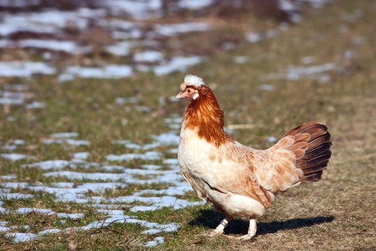 Lws Bilder – Durchsuchen 104 Archivfotos, Vektorgrafiken und Videos ...