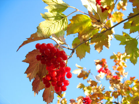 รูปภาพBreanch – เลือกดูภาพถ่ายสต็อก เวกเตอร์ และวิดีโอ129 | Adobe Stock