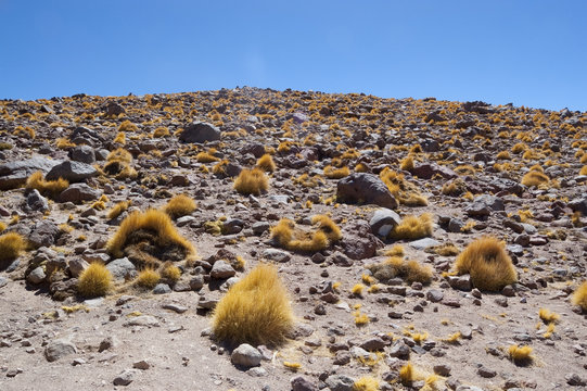 Pajonal Images – Browse 278 Stock Photos, Vectors, and Video | Adobe Stock