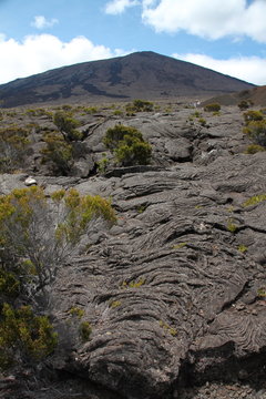 Diagramme Du Volcan Bouclier