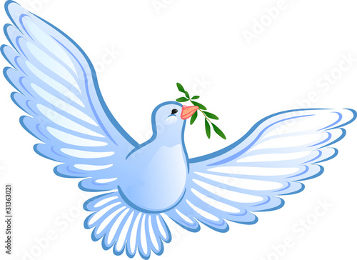 Foto Colomba Con Ramoscello Di Ulivo - Serra Presidente