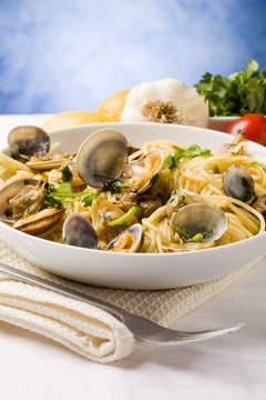 Veraci Bilder – Durchsuchen 651 Archivfotos, Vektorgrafiken und Videos ...