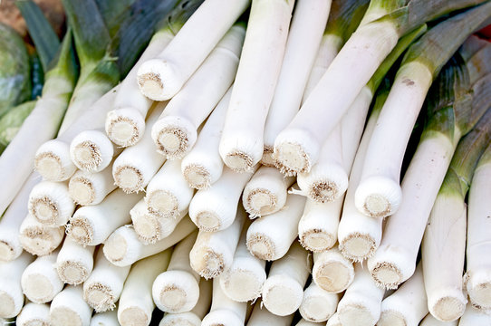 Imagens de Poree – Explore Fotografias do Stock, Vetores e Vídeos de ...