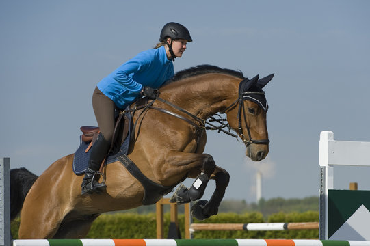 Springpferde Bilder – Durchsuchen 981 Archivfotos, Vektorgrafiken und ...