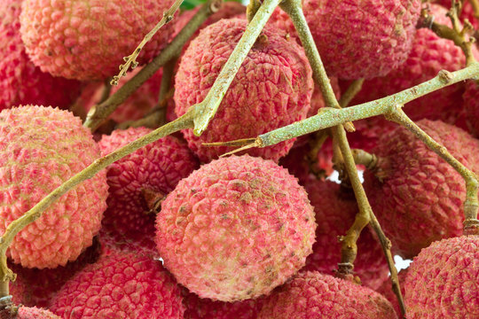 「Letchis」の写真素材 | 502件の無料イラスト画像 | Adobe Stock