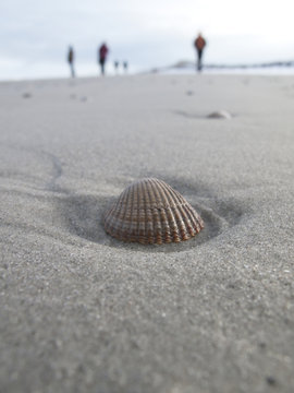 Meeer Bilder – Durchsuchen 94 Archivfotos, Vektorgrafiken und Videos ...