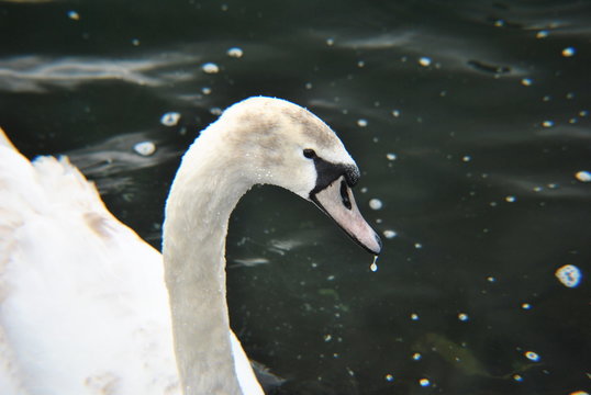 Postc Bilder – Durchsuchen 124 Archivfotos, Vektorgrafiken und Videos | Adobe Stock