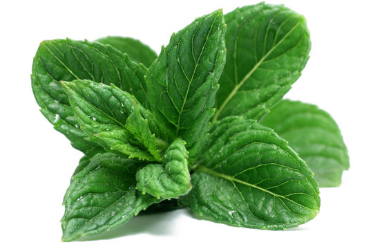 รูปภาพMinzen – เลือกดูภาพถ่ายสต็อก เวกเตอร์ และวิดีโอ1,347 | Adobe Stock