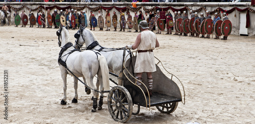 "char romain" photo libre de droits sur la banque d'images Fotolia.com ...