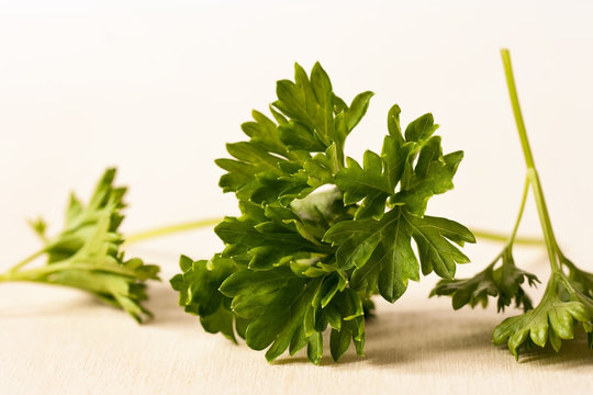 รูปภาพ"Petersilie – เลือกดูภาพถ่ายสต็อก เวกเตอร์ และวิดีโอ49,429 ...