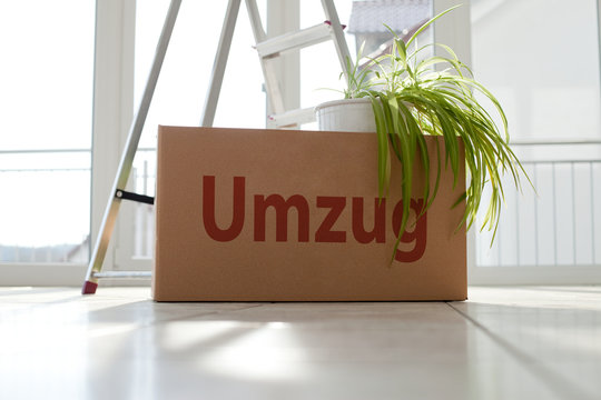 Umzug-Bilder: Stock-Fotos & -Videos. | Adobe Stock