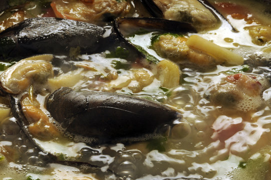 「Pedoci」の画像 - 197 件の Stock 写真、ベクターおよびビデオ | Adobe Stock