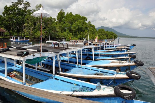 Lalang Images – Browse 219 Stock Photos, Vectors, and Video | Adobe Stock