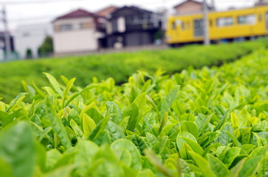 235 件の最適な 西武鉄道 画像、ストック写真、ベクター | Adobe Stock
