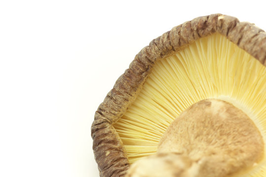 干しシイタケ Images – Browse 582 Stock Photos, Vectors, and Video | Adobe Stock