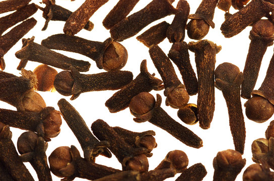 รูปภาพNelken – เลือกดูภาพถ่ายสต็อก เวกเตอร์ และวิดีโอ4,726 | Adobe Stock