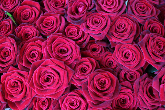 รูปภาพWeinrot – เลือกดูภาพถ่ายสต็อก เวกเตอร์ และวิดีโอ2,758 | Adobe Stock