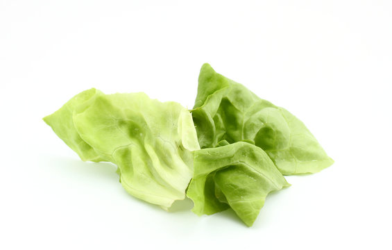 「Salatblatt」の画像 - 3,686 件の Stock 写真、ベクターおよびビデオ | Adobe Stock