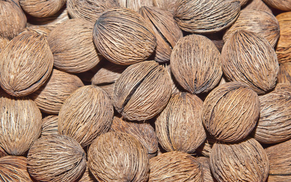 Tangena bilder – Bläddra bland 159 stockfoton, vektorer och videor ...