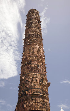 「Telurico」の写真素材 | 17件の無料イラスト画像 | Adobe Stock