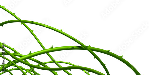 "Ronces sur fond blanc 1" photo libre de droits sur la banque d'images ...