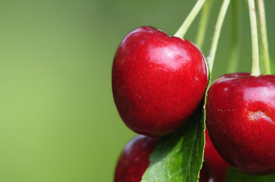 Prall Bilder – Durchsuchen 970 Archivfotos, Vektorgrafiken und Videos ...