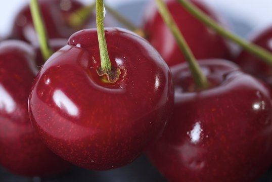 รูปภาพCerise – เลือกดูภาพถ่ายสต็อก เวกเตอร์ และวิดีโอ50,122 | Adobe Stock