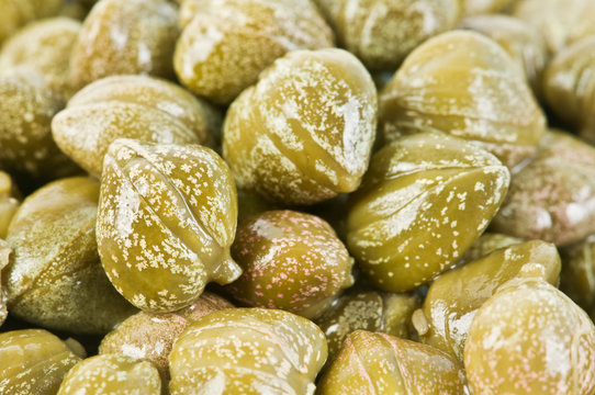 Kapers 이미지 – 찾아보기 397 스톡 사진, 벡터 및 비디오 | Adobe Stock