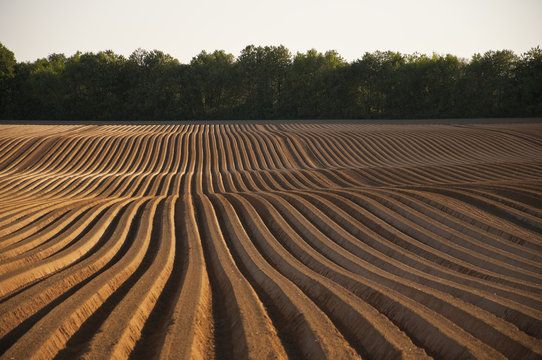 Ackerfurchen bilder – Bläddra bland 396 stockfoton, vektorer och videor ...