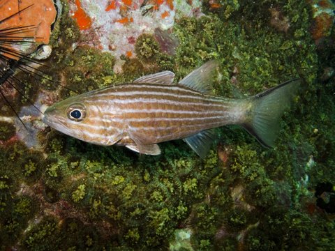 Artus Images – Browse 447 Stock Photos, Vectors, and Video | Adobe Stock