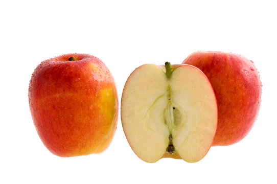 「Scifresh」の写真素材 | 55件の無料イラスト画像 | Adobe Stock