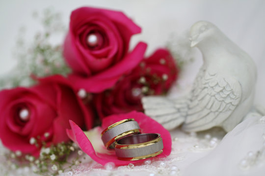 รูปภาพTrauen – เลือกดูภาพถ่ายสต็อก เวกเตอร์ และวิดีโอ1,569 | Adobe Stock