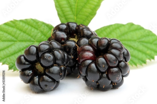 "Fruits des bois" photo libre de droits sur la banque d'images Fotolia ...