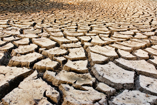 Imágenes de Cuarteado: descubre bancos de fotos, ilustraciones ...