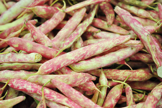 Imagens de Pferdebohnen – Explore Fotografias do Stock, Vetores e ...