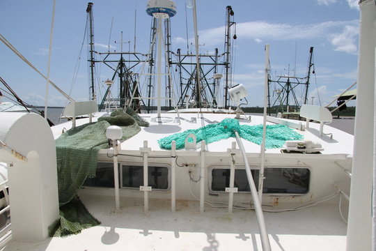 Imagens de Crevettier – Explore Fotografias do Stock, Vetores e Vídeos ...