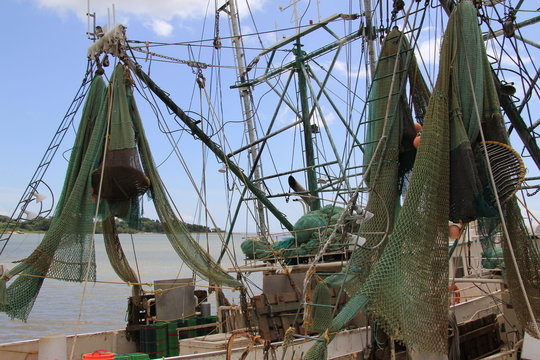 「Crevettier」の画像 - 83 件の Stock 写真、ベクターおよびビデオ | Adobe Stock