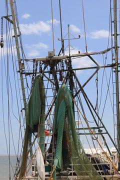 「Crevettier」の画像 - 83 件の Stock 写真、ベクターおよびビデオ | Adobe Stock