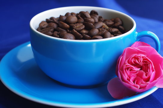 รูปภาพEiskaffe – เลือกดูภาพถ่ายสต็อก เวกเตอร์ และวิดีโอ238 | Adobe Stock