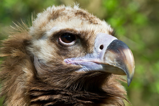 รูปภาพVolerie – เลือกดูภาพถ่ายสต็อก เวกเตอร์ และวิดีโอ158 | Adobe Stock