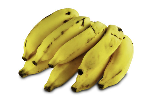 รูปภาพPenca – เลือกดูภาพถ่ายสต็อก เวกเตอร์ และวิดีโอ740 | Adobe Stock