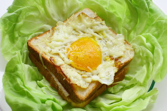 Toastinette Images – Browse 35 Stock Photos, Vectors, and Video | Adobe ...