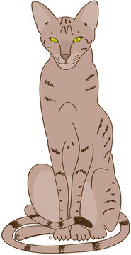 Cunilingus Bilder – Durchsuchen 488 Archivfotos, Vektorgrafiken und ...