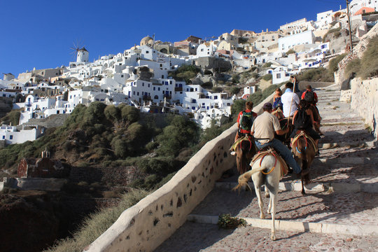 Muletier Images – Browse 60 Stock Photos, Vectors, and Video | Adobe Stock