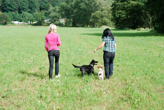 "Gassi Gehen Bilder – Durchsuchen 3,495 Archivfotos, Vektorgrafiken und ...
